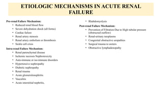 RENAL_SYSTEM[1].pptx Pathophysiology Subject B. Pharmacy First Year Sem ...