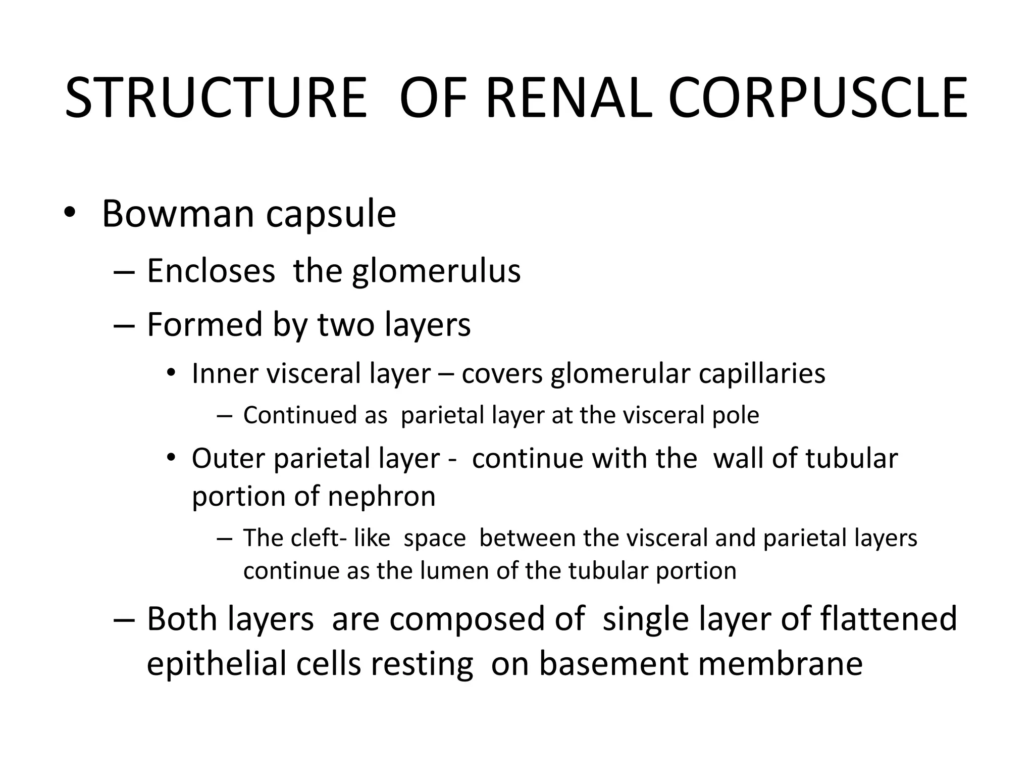 RENAL SYSTEM ANATOMY AND PHYSIOLOGY.pptx