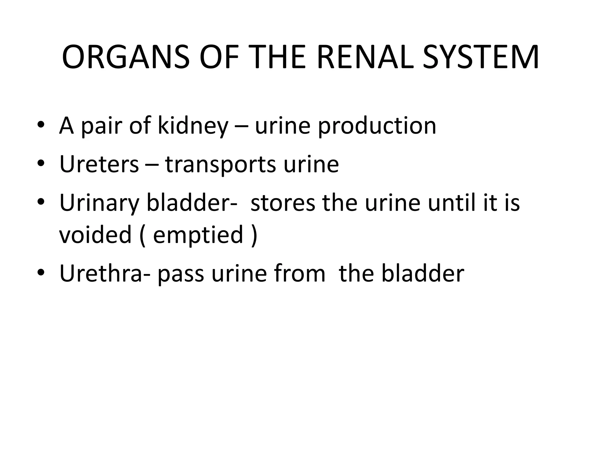 RENAL SYSTEM ANATOMY AND PHYSIOLOGY.pptx