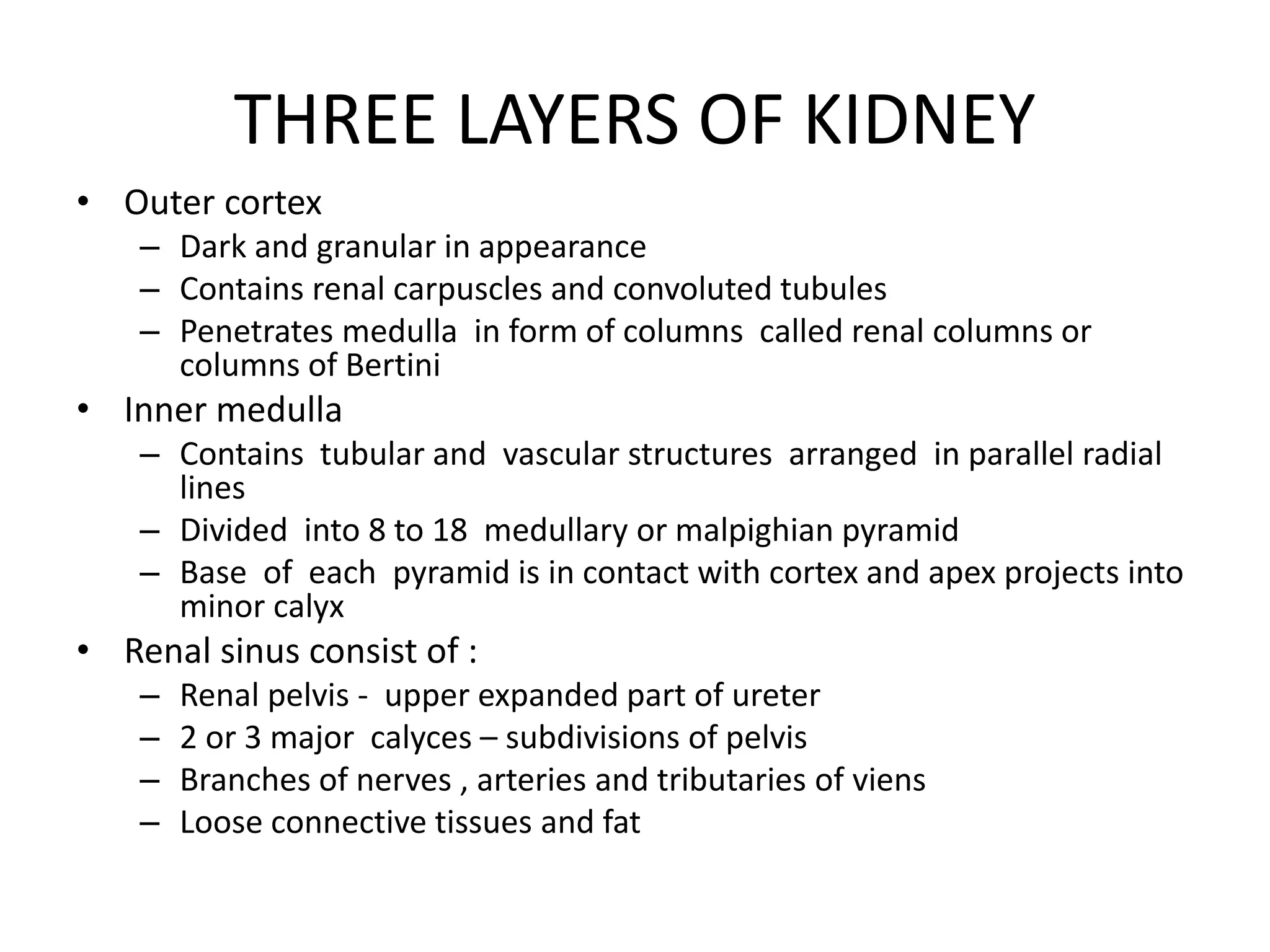 RENAL SYSTEM ANATOMY AND PHYSIOLOGY.pptx