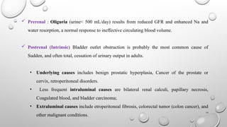 Pathophysiology of Acute Renal Failure PPT | PPTX