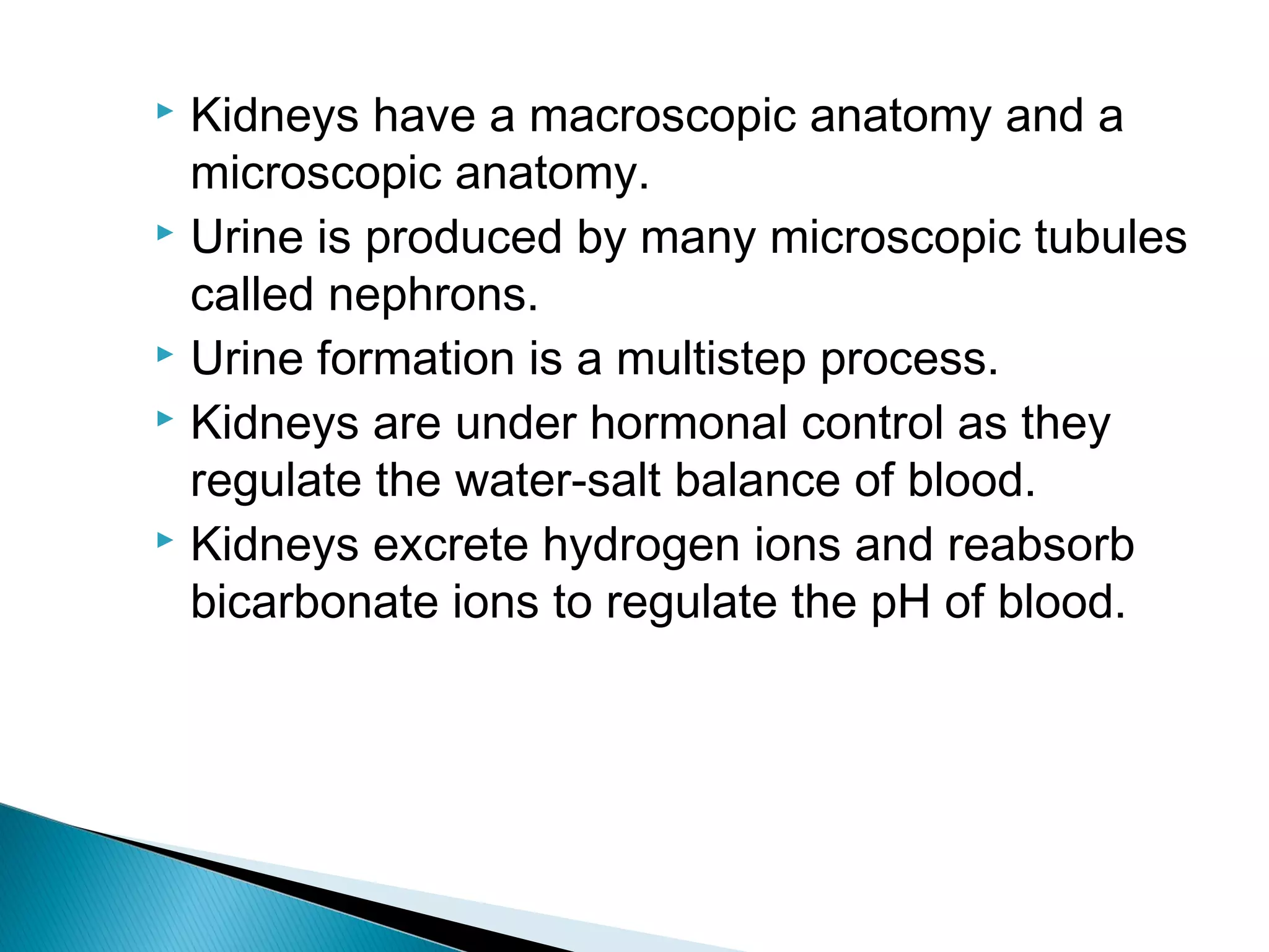 Renal system Physiology and Homeostasis | PPT