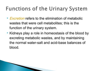 Renal system Physiology and Homeostasis | PPT