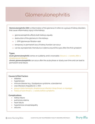 Renal system bundle.pdf