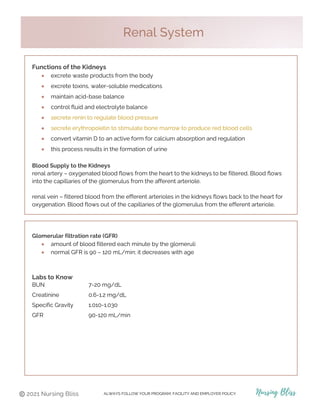 Renal system bundle.pdf