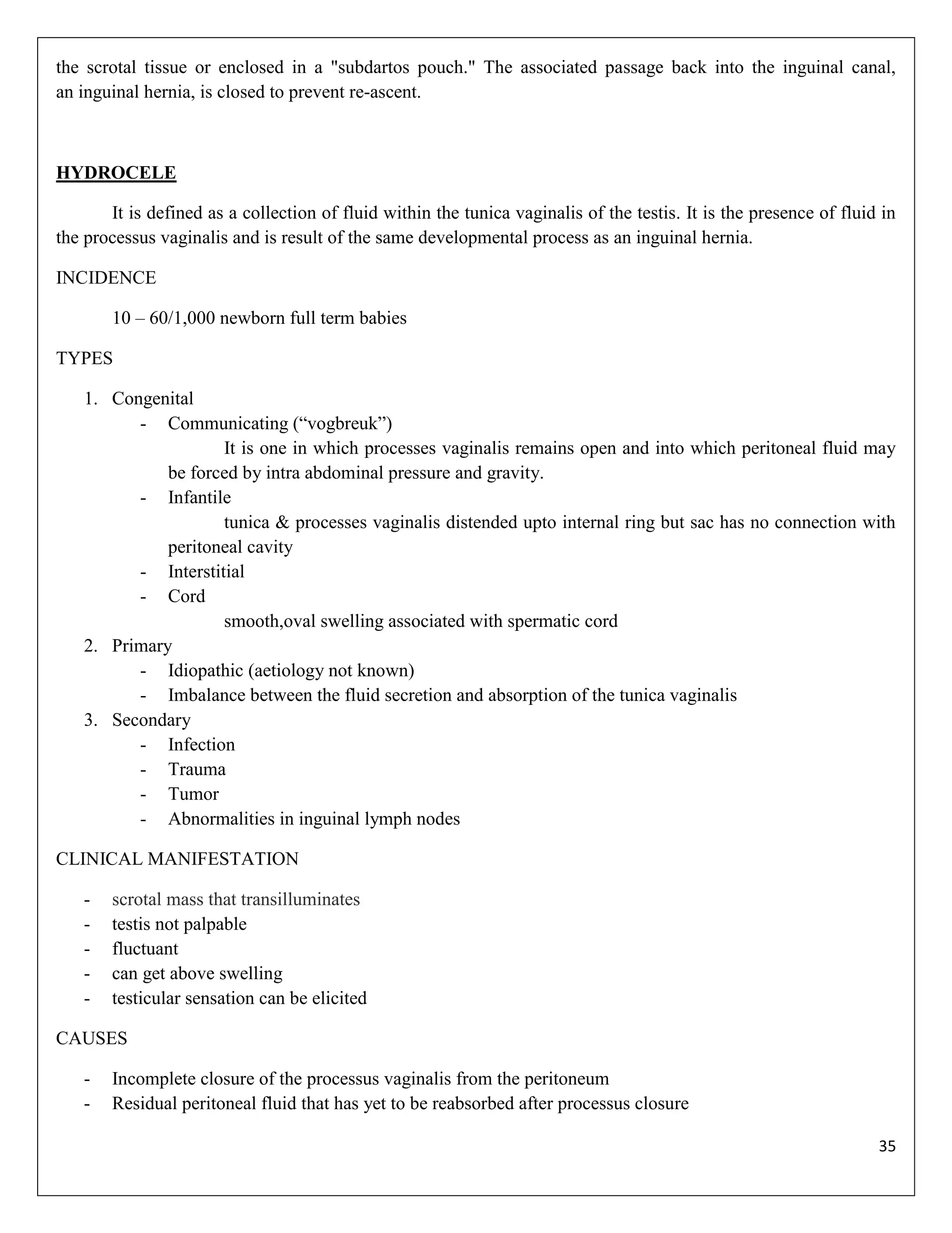 Renal system complete | DOCX
