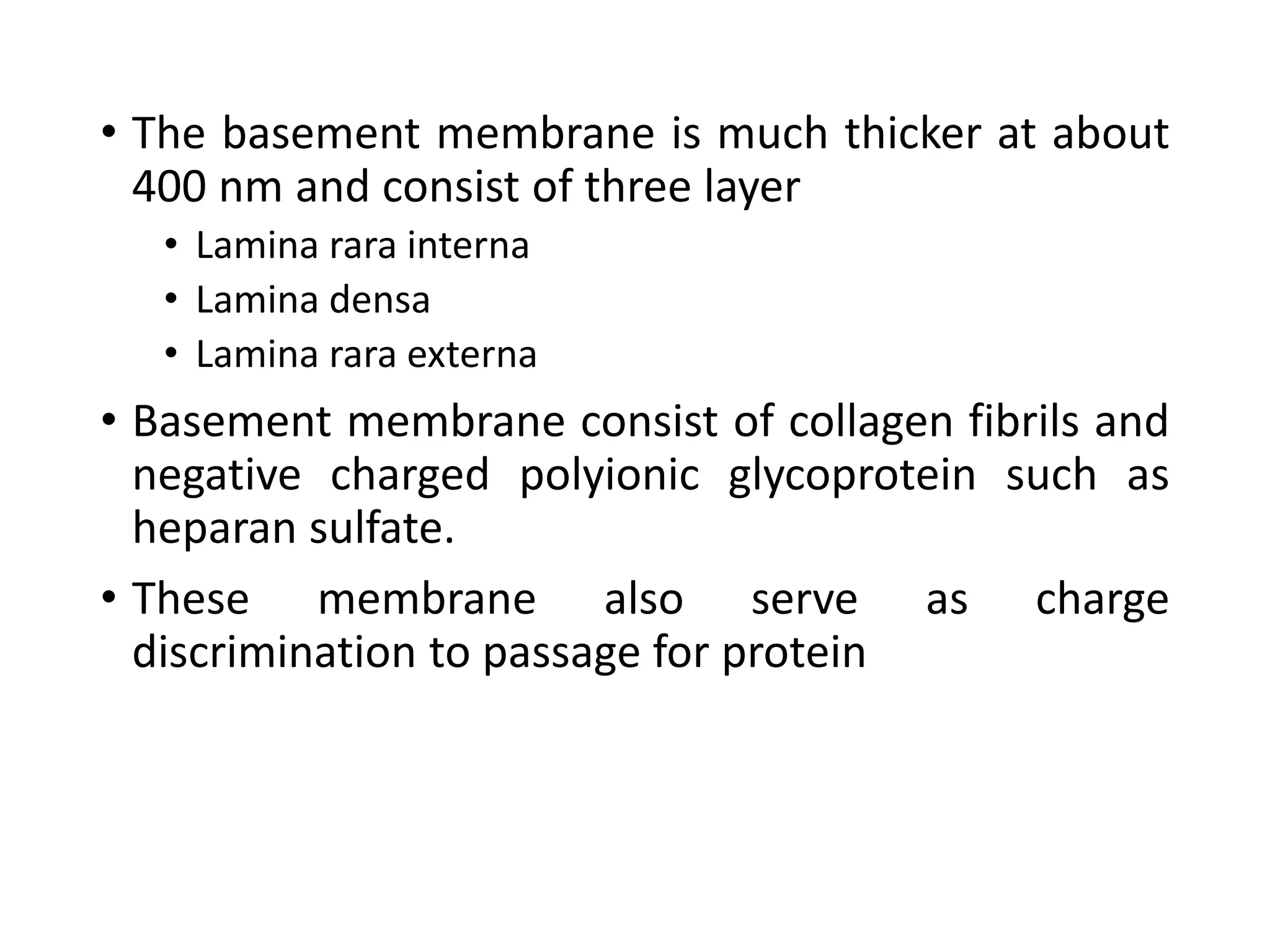 Renal system | PPTX