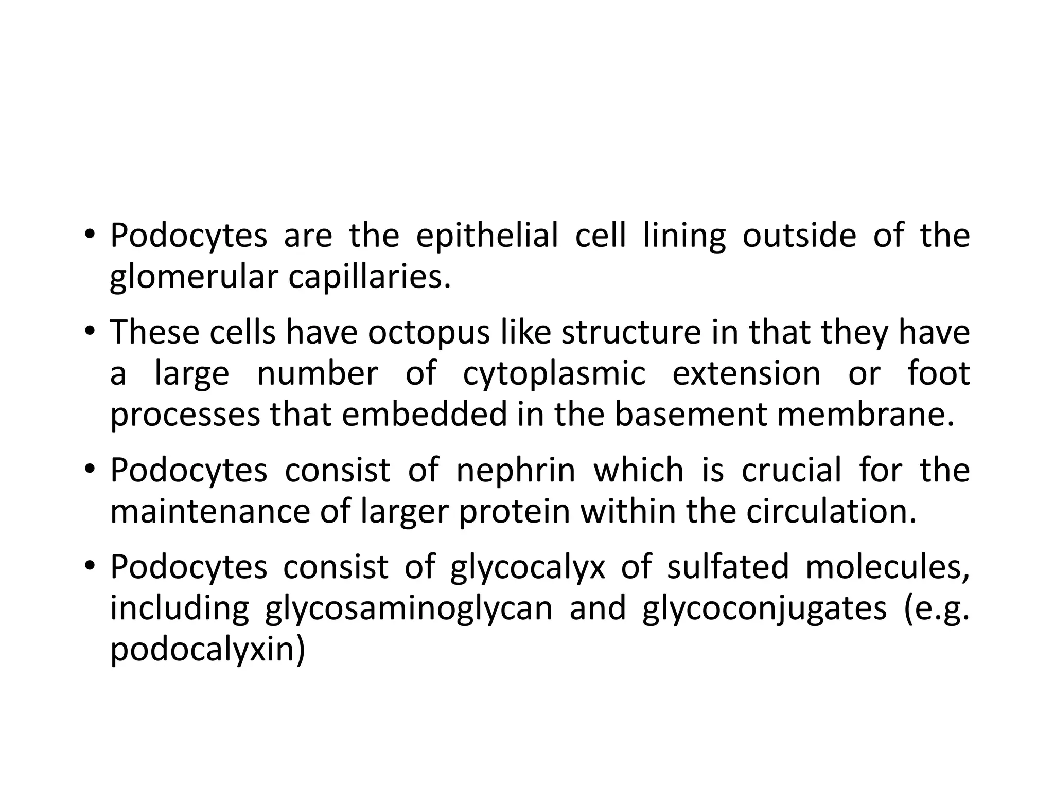 Renal system | PPTX