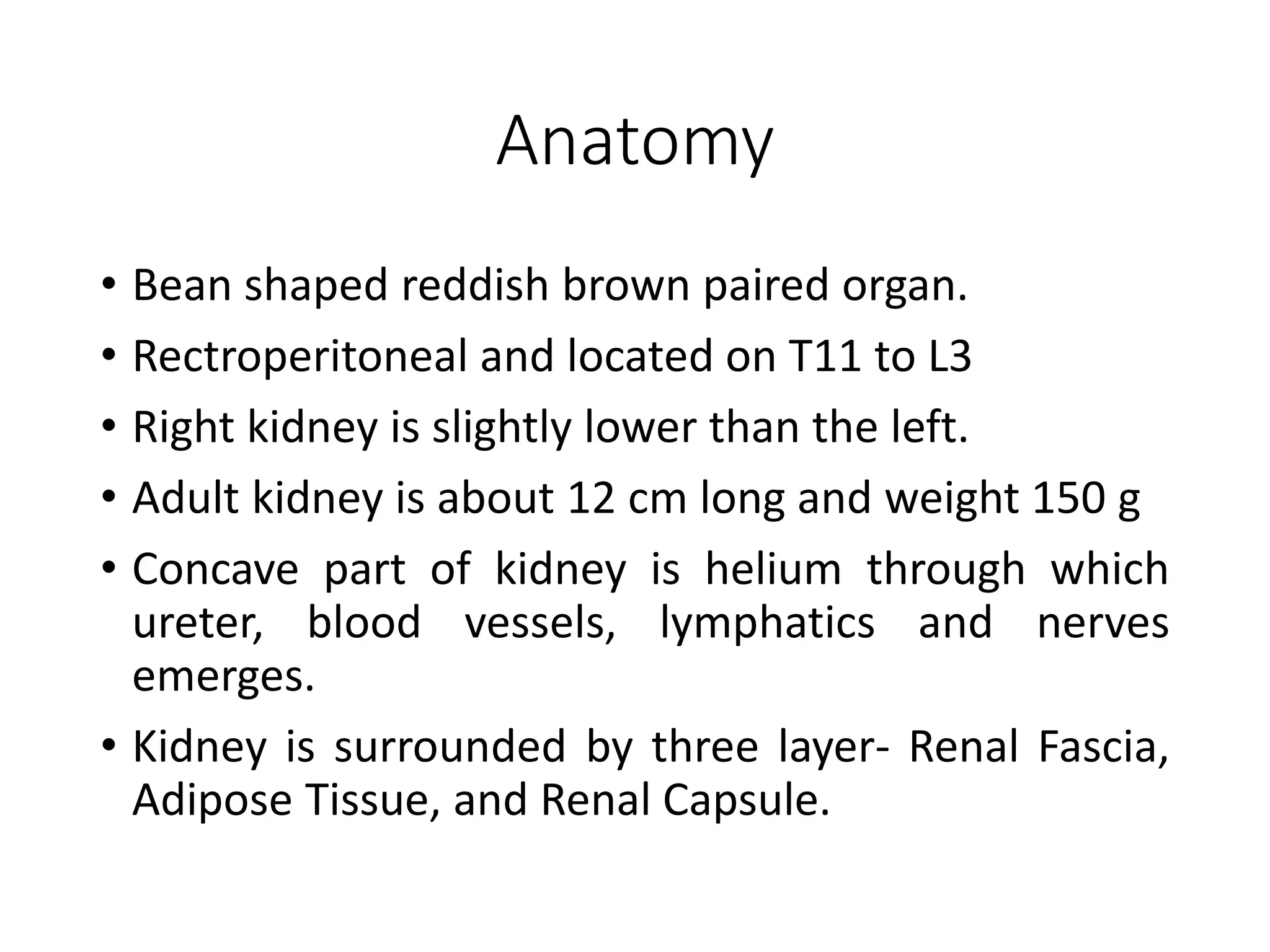 Renal system | PPTX