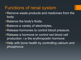 RENAL SYSTEM DISEASES and treatment involved | PPTX
