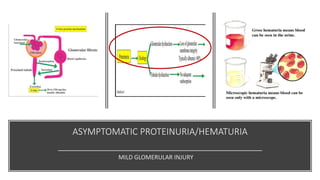 Renal system lecture | PPT