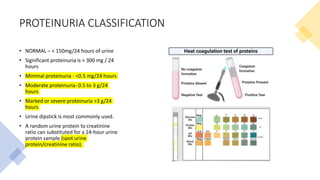Renal system lecture | PPT
