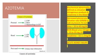 Renal system lecture | PPT