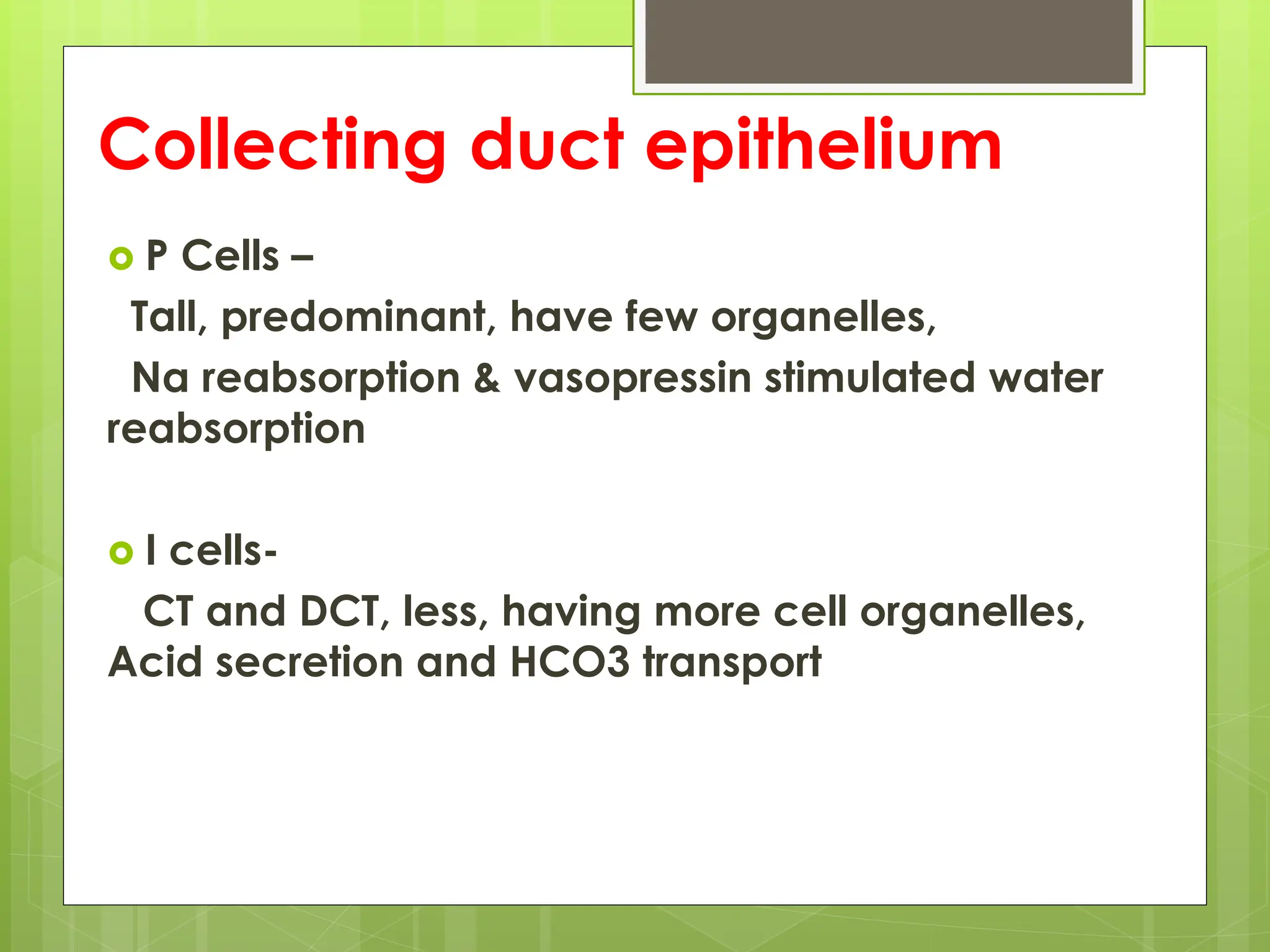 renal_system_lecture_2_Physiology_29_01_2019.pdf