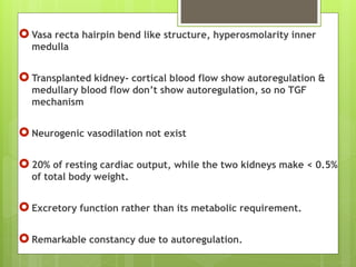 renal_system_lecture_2_Physiology_29_01_2019.pdf