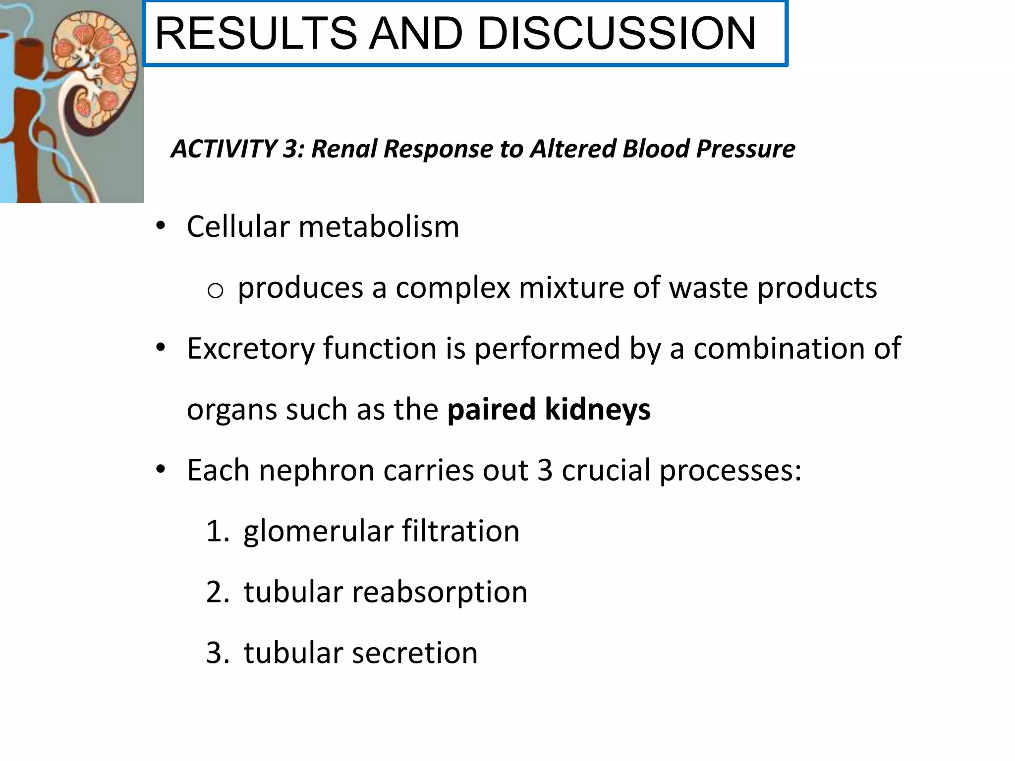 Renal system physiology | PPTX