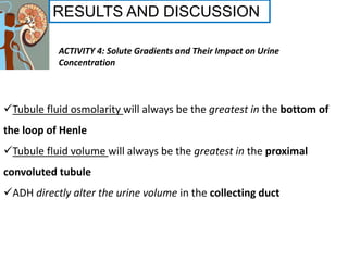 Renal system physiology | PPTX