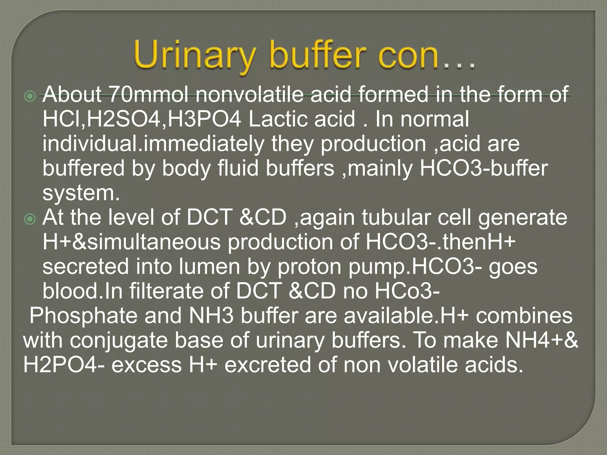 urine formation..mechanism,acidification,urinary buffers by dr.Tasnim ...