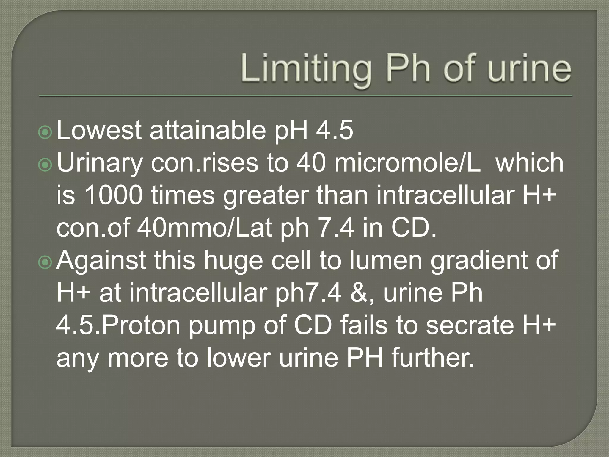urine formation..mechanism,acidification,urinary buffers by dr.Tasnim ...