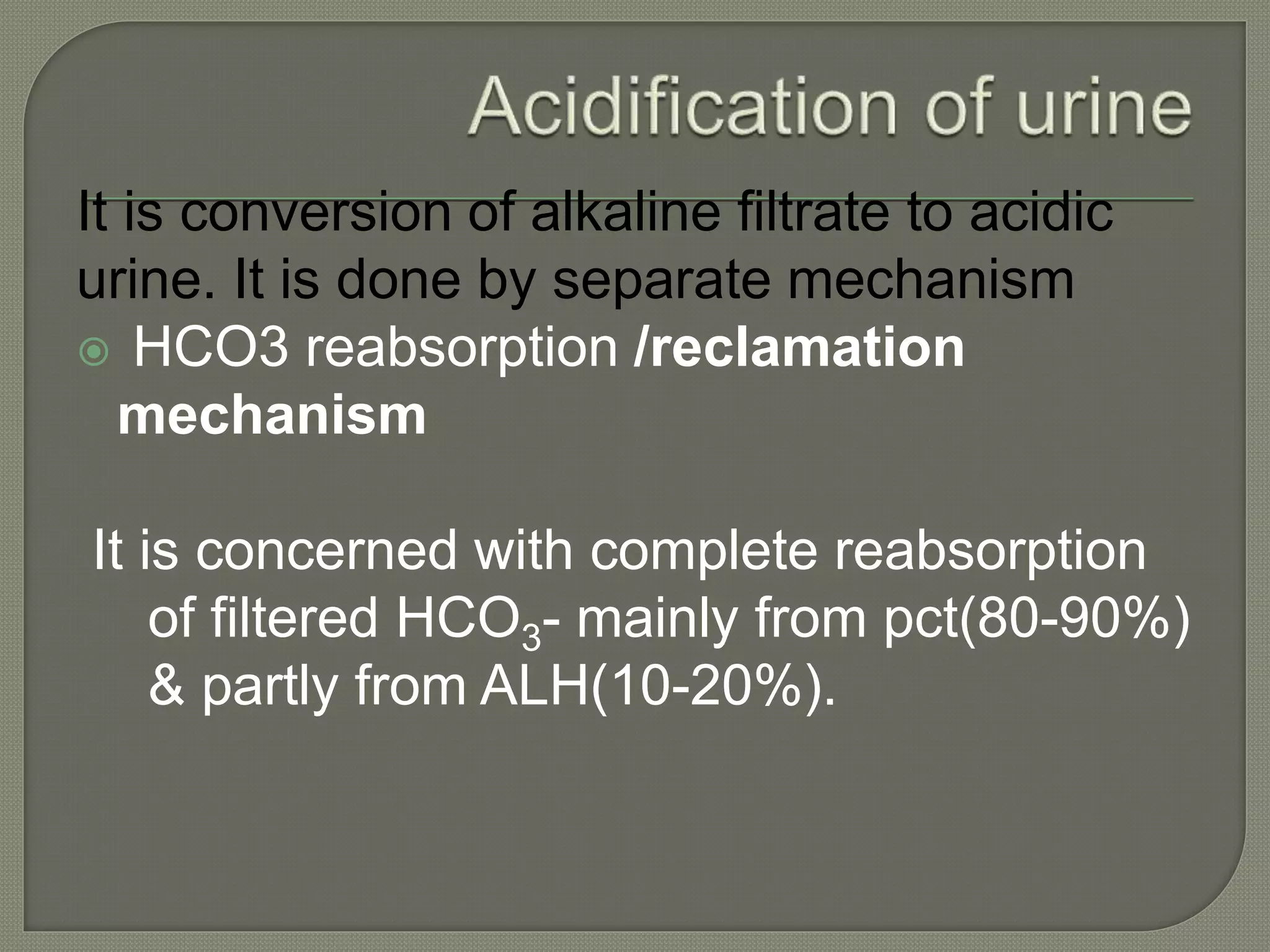 urine formation..mechanism,acidification,urinary buffers by dr.Tasnim ...