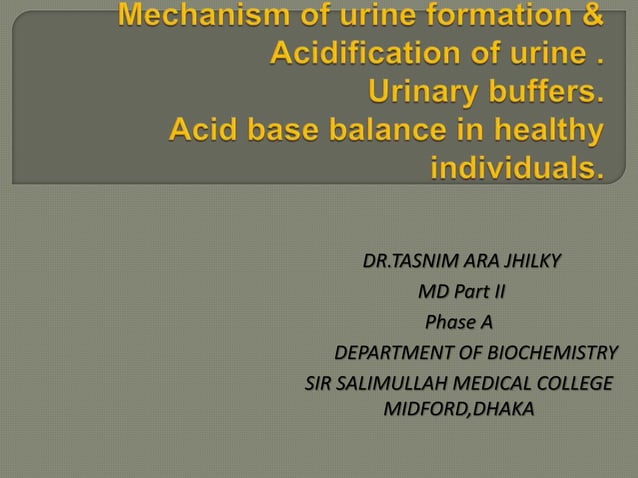 urine formation..mechanism,acidification,urinary buffers by dr.Tasnim ...