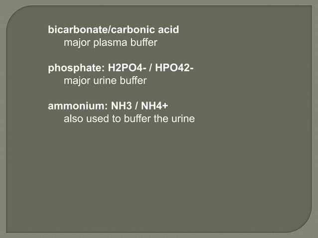 urine formation..mechanism,acidification,urinary buffers by dr.Tasnim ...
