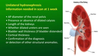 Renal tract anomalies | PPT