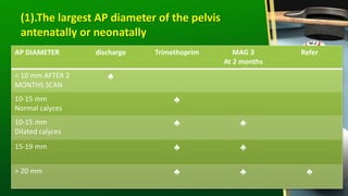 Renal tract anomalies | PPTX