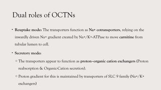 Renal transporters goodman gilman pharmacology | PPT