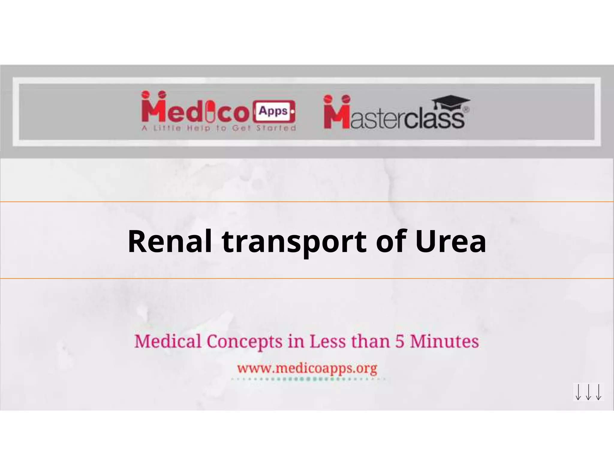 Renal transport of urea [NEET PG / DNB / AIIMS PG] | PDF