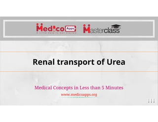 Renal transport of urea [NEET PG / DNB / AIIMS PG] | PPT