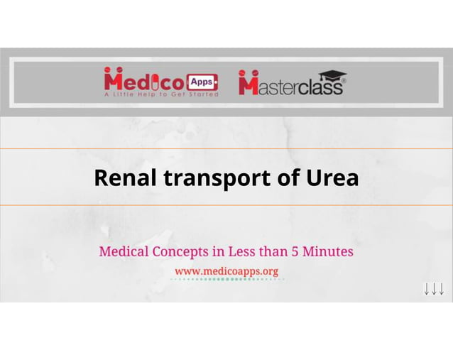 Renal transport of urea [NEET PG / DNB / AIIMS PG] | PPT