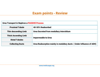 Renal transport of urea [NEET PG / DNB / AIIMS PG] | PDF