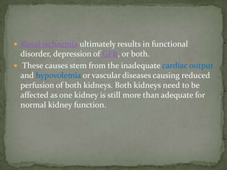 RENAL TRAUMA-FOR NEPHRO - UROLOGY STUDENTS | PPTX