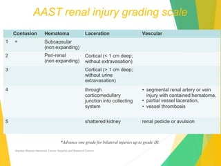 Management of Renal trauma | PPTX