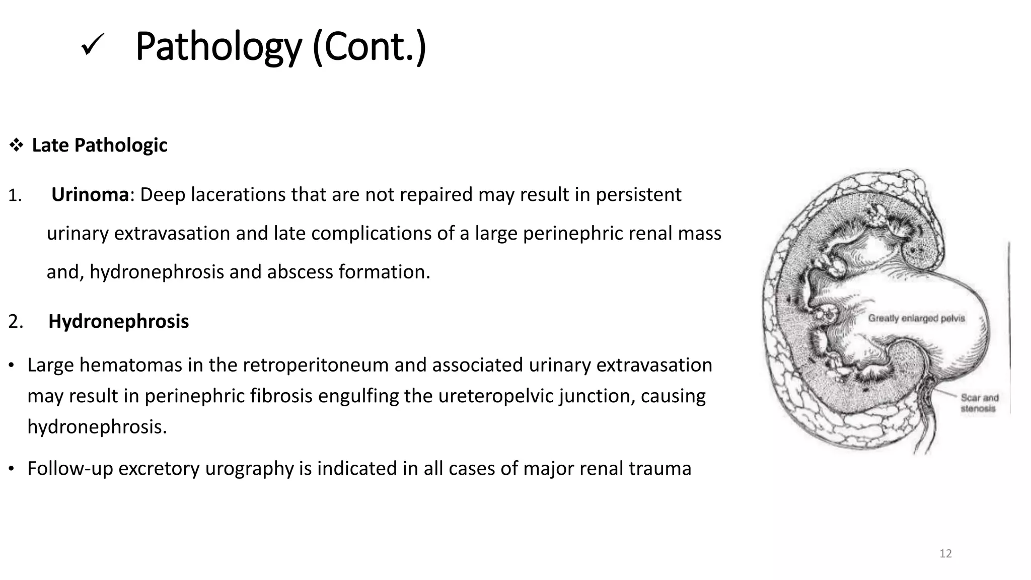 Renal trauma - Kidney trauma | PPTX
