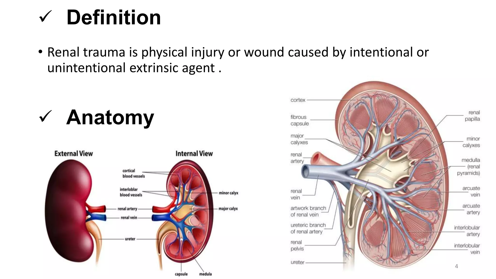 Renal trauma - Kidney trauma | PPTX