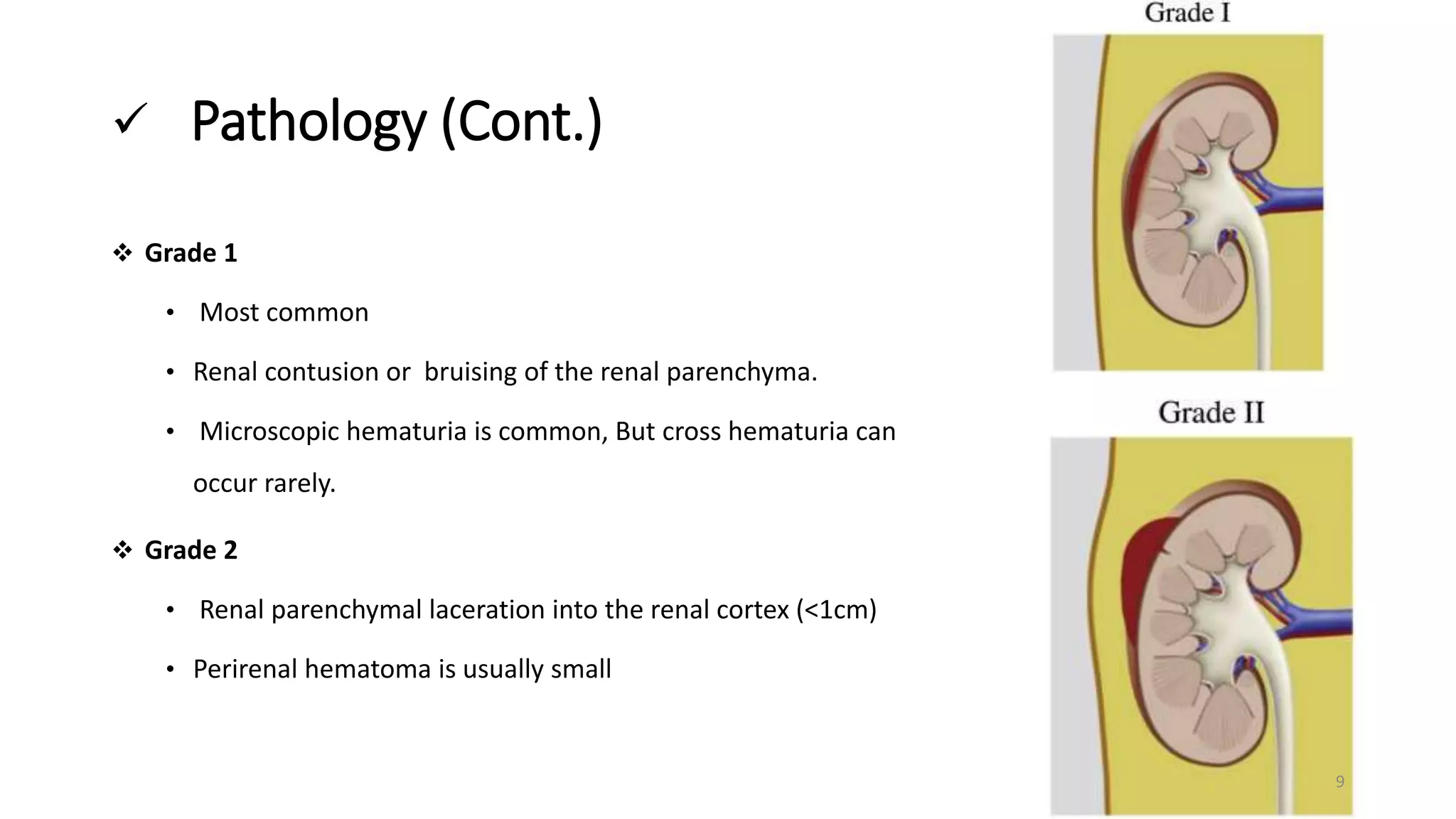 Renal trauma - Kidney trauma | PPTX