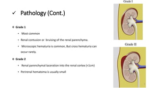 Renal trauma - Kidney trauma | PPTX