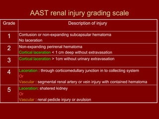 abdominal trauma and renal trauma injury.pptx
