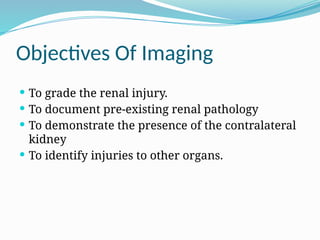 Renal trauma Grading & Its Management.pptx
