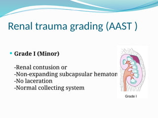 Renal trauma Grading & Its Management.pptx