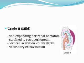 Renal trauma Grading & Its Management.pptx
