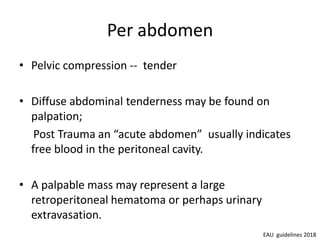 Renal trauma kidney injury | PPTX