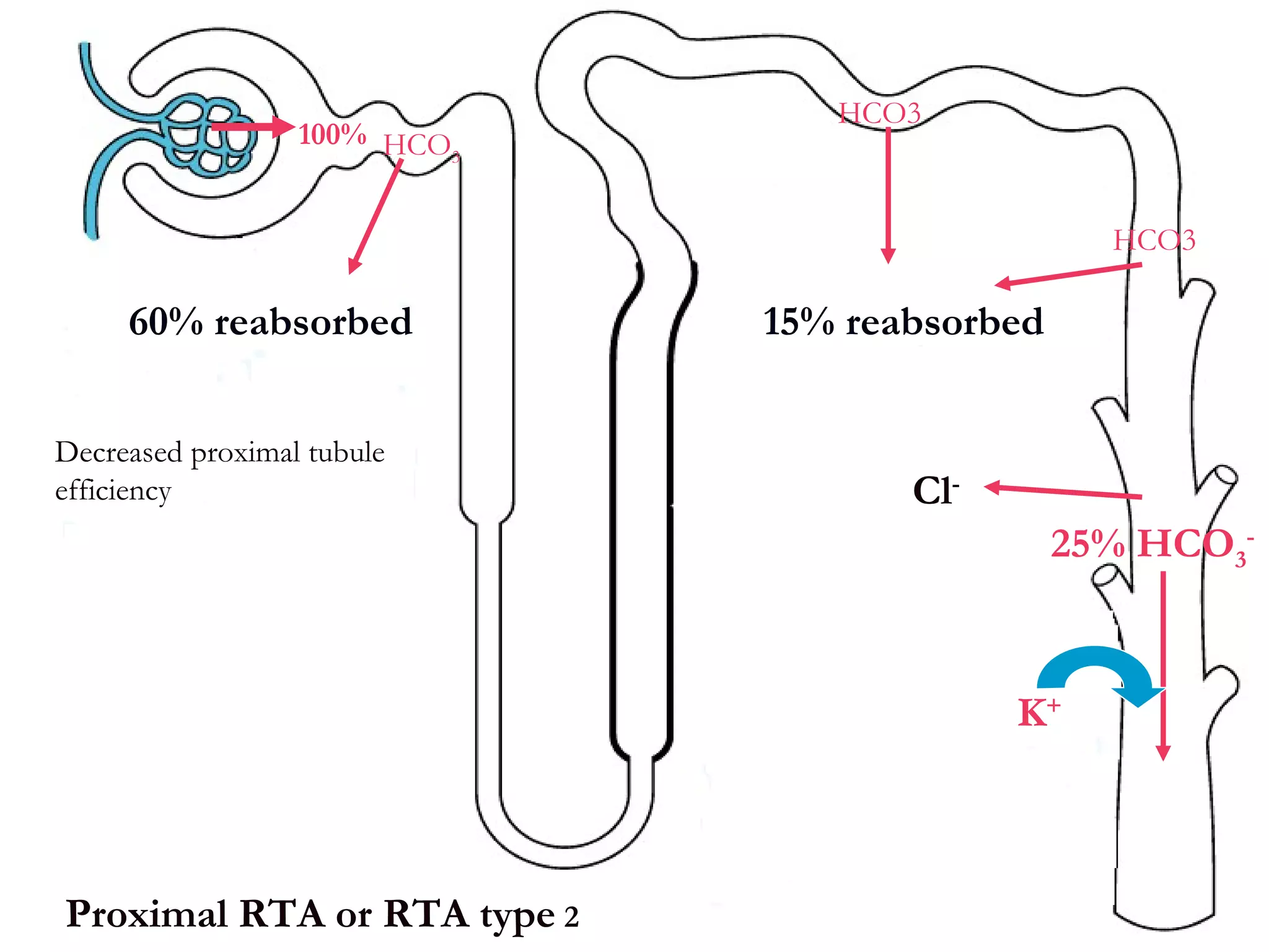Renal tubular acidosis | PPT