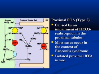Renal tubular acidosis | PPT