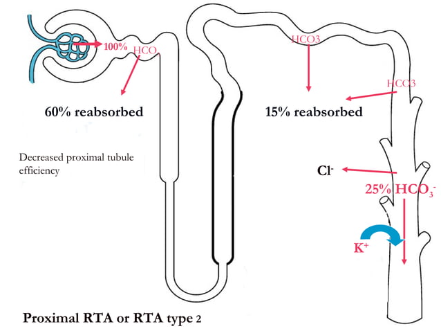 Renal tubular acidosis | PPT