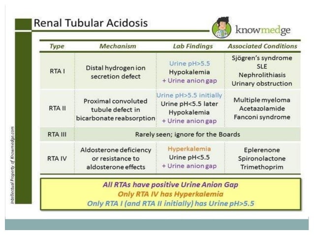 Renal tubular acidosis | PDF | Medical Health