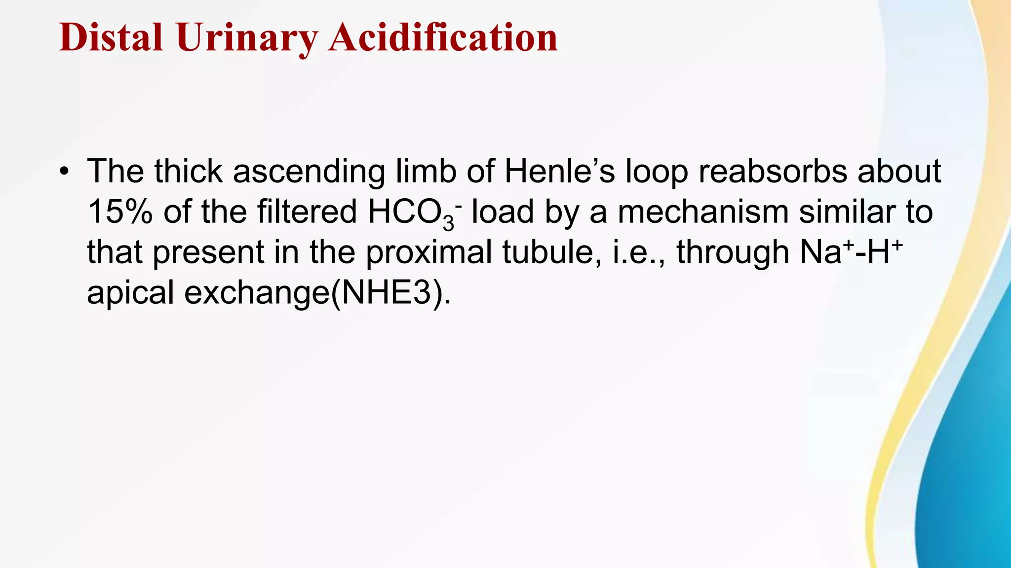 Renal tubular acidosis.pptx