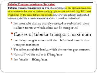 renal tubular reabsorption and secretion.pptx